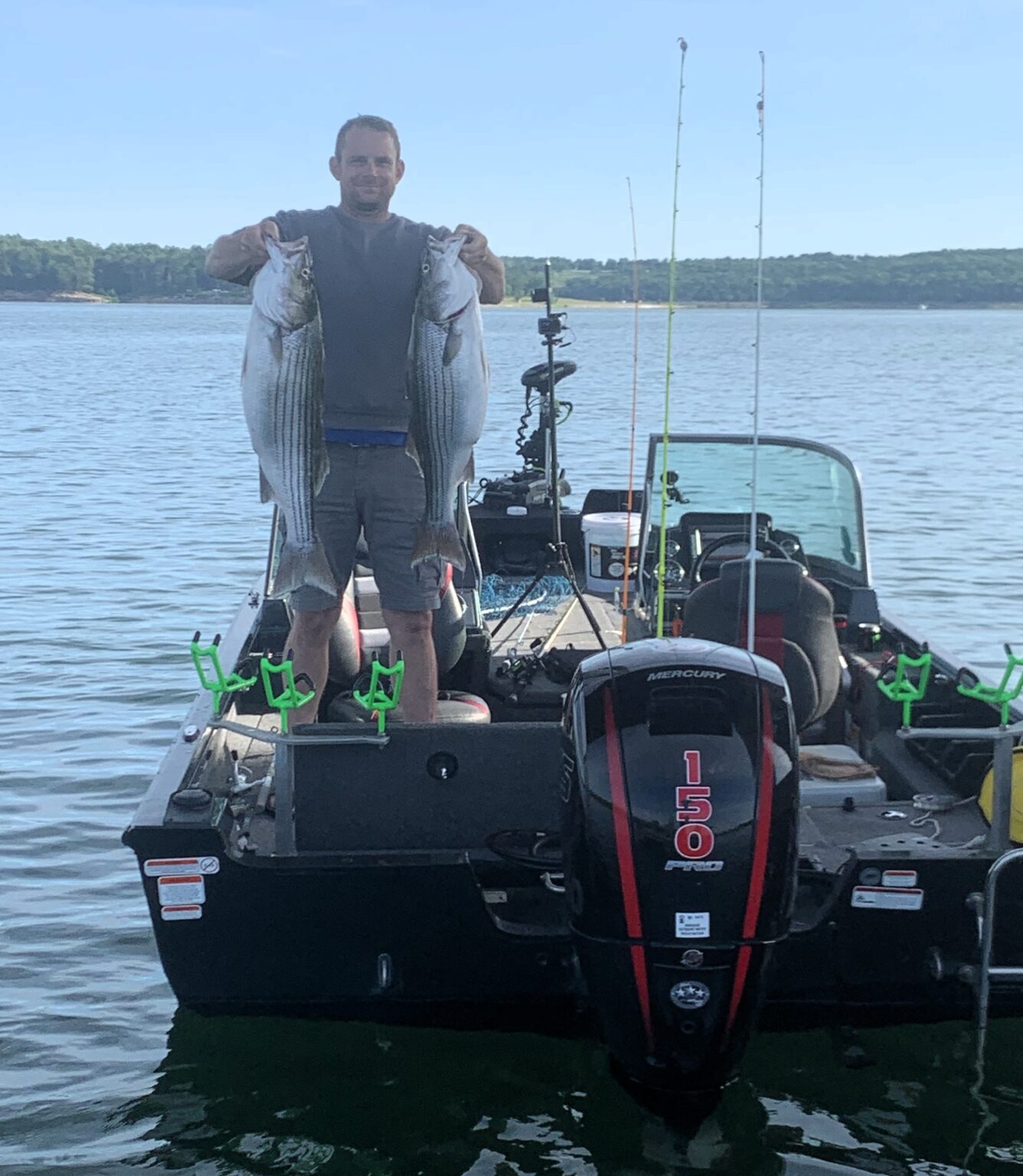 Hummingbird Hideaway – A resort on Norfork Lake Arkansas